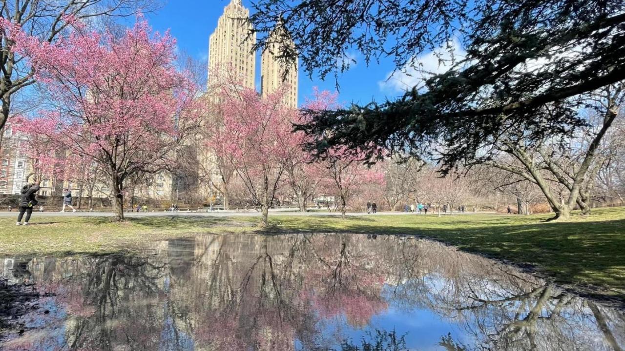 Getting a Jump on Spring Allergies | Department of Pediatrics