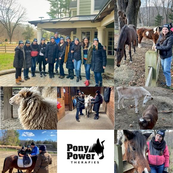POWER Pony Therapies | Department of Pediatrics
