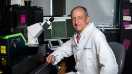 Hulya Bayir, MD | Department of Pediatrics