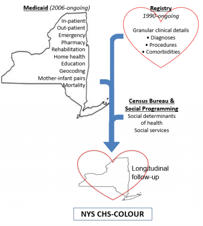 CHS-COLOUR | Department of Pediatrics
