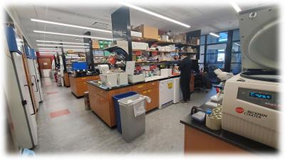 Labs and Teams | Department of Pediatrics